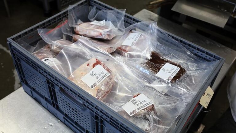 KY Meat Goats For Sale - Raised Local, Butchered Local